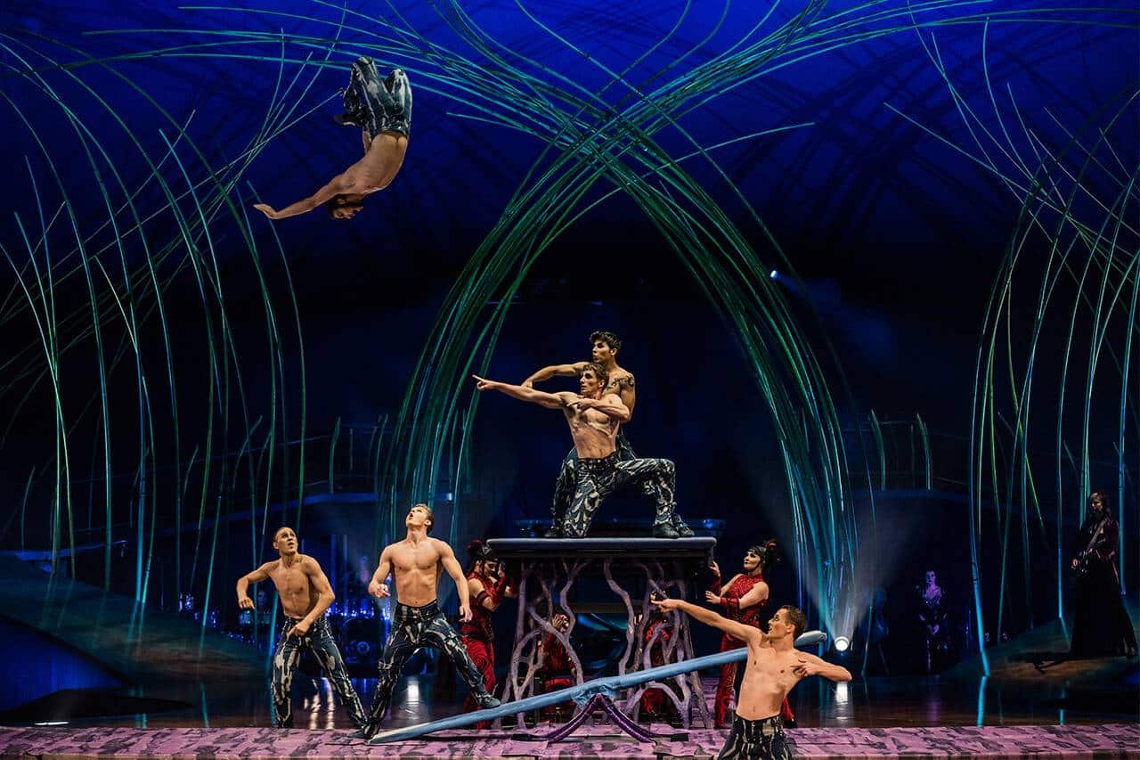 Amaluna // Theatre Eddys